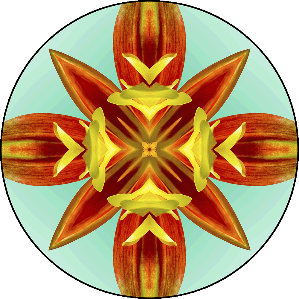 Daily Digital Mandala